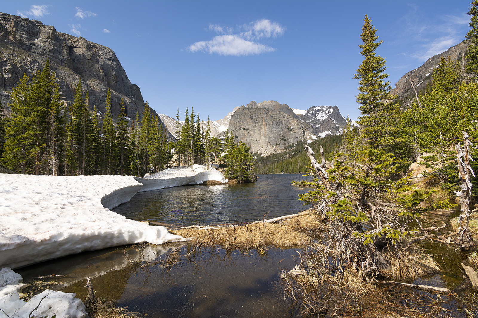 14er Art : Hiking Sky Pond, RMNP - June, 2020