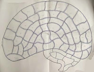 Gefilte Quilt: Bruce Jenner and a Stained Glass Brain Quilt Tutorial