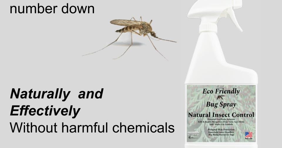 Natural Insecticide Is a Better Alternative