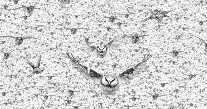 UF GRADUATE SCULPTURE SEMINAR : TIMOTHY MORTON "Introducing the idea of ...