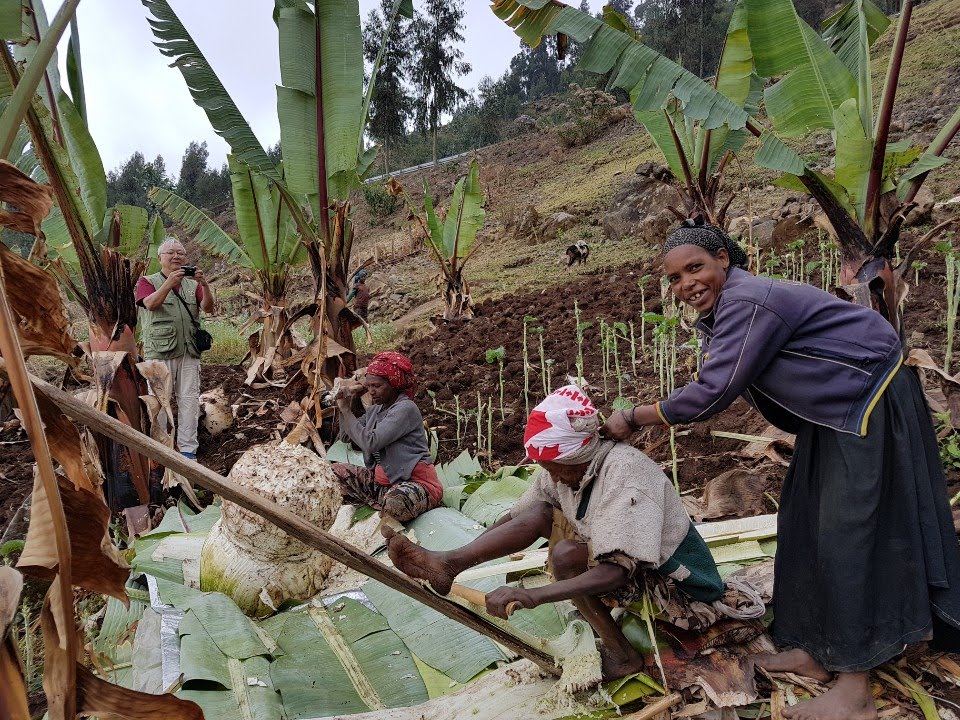 lakepurity: 검은 대륙 Africa,Ethiopia, Silte Tribe의 원시적 삶을 살아가는 가정탐방 ...