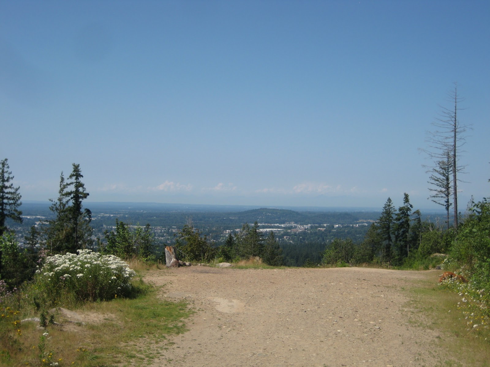 Galbraith Hiking: Loop: The Old Up, Scooby Doo, Upper Arsenio, Lower ...