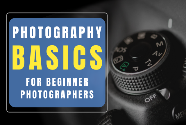 Photography Basics for Beginner Photographers