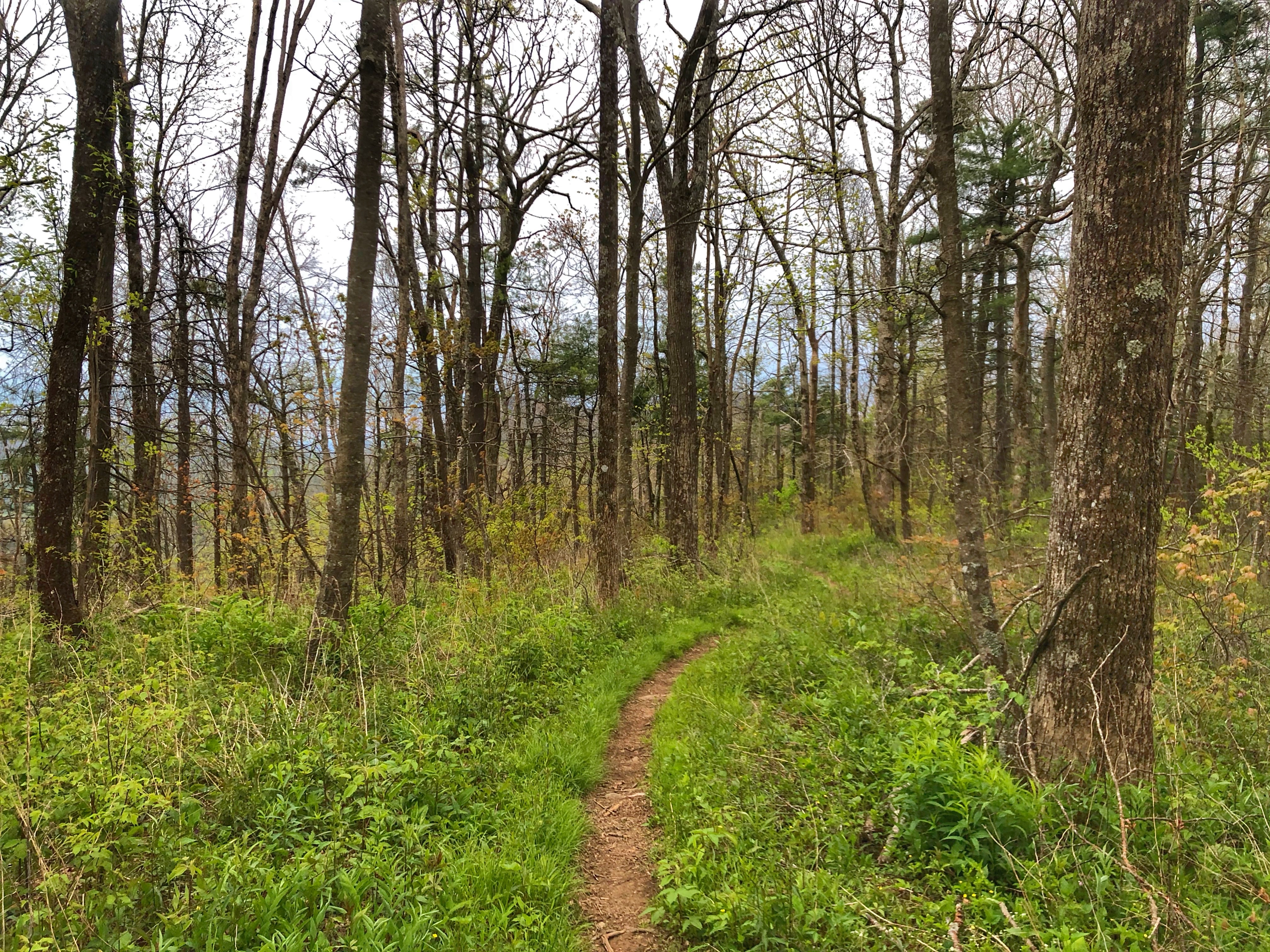 Adventure Report - 2020 Georgia Loop 57M (Self-Supported) ~ Ultra Kraut ...