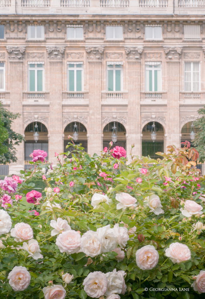 Marie Arden Pink Living: Paris pinkness