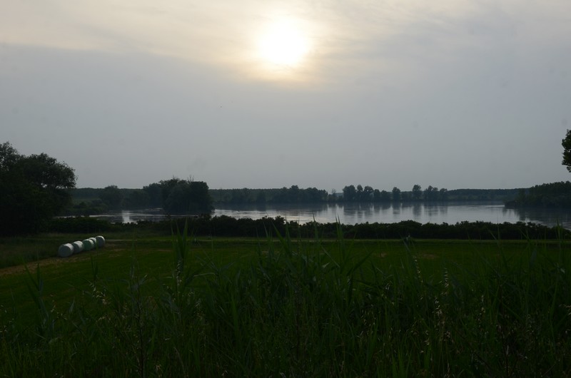 Tentativi digitali: Magaton