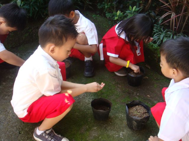 howard gardner center for excellence in education: LEARNING ABOUT ...