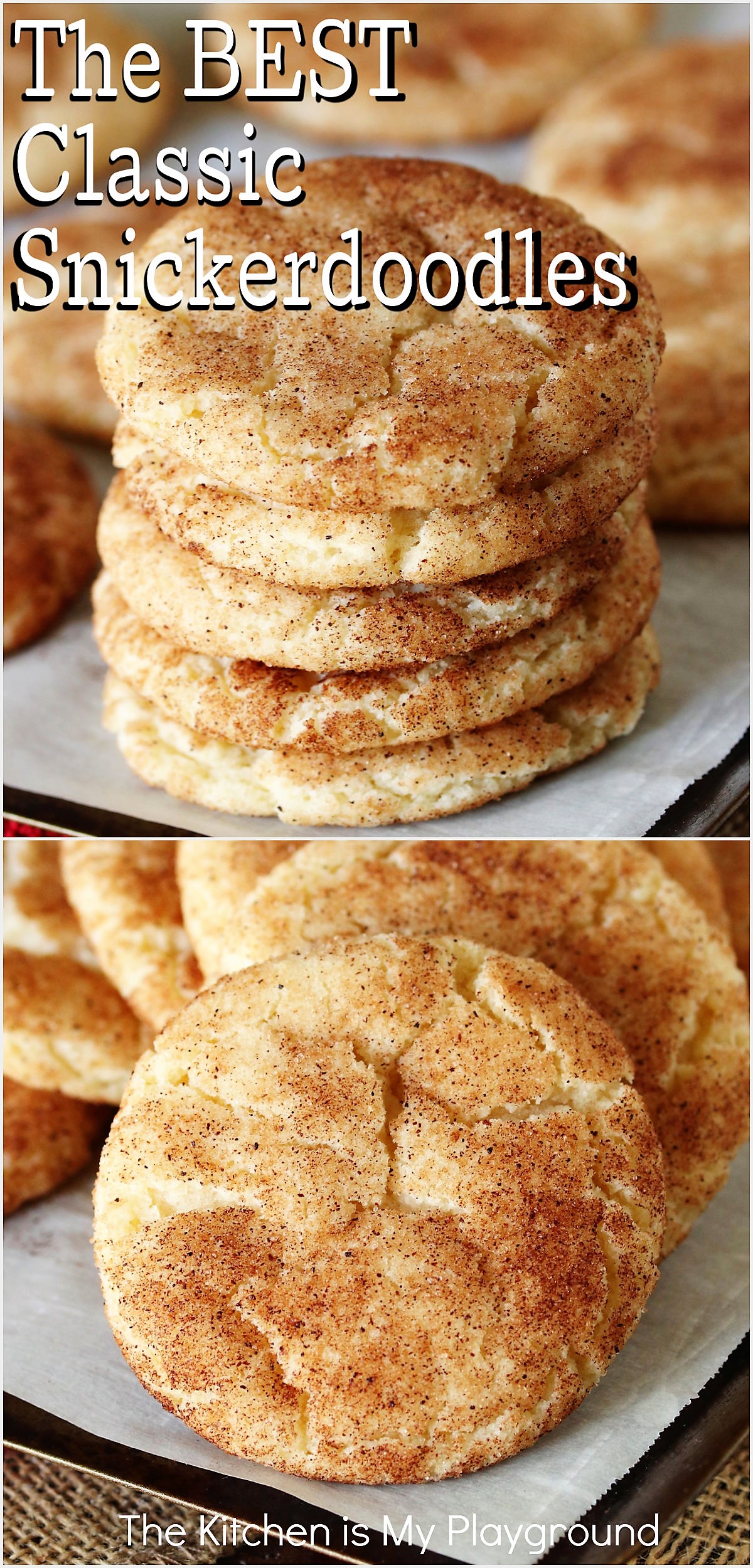 The BEST Classic Snickerdoodles | The Kitchen is My Playground