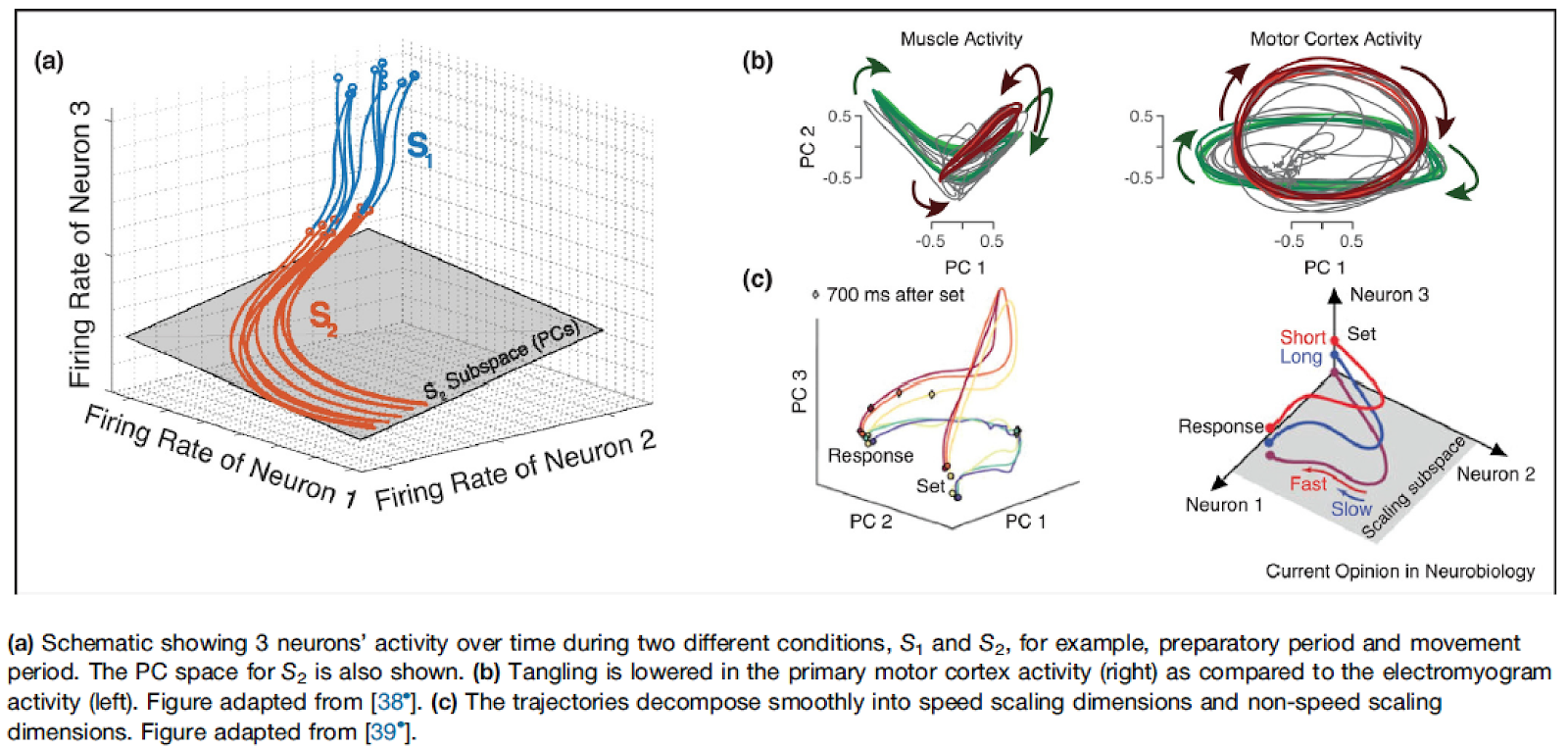 Beyond reductionism – systems biology gets dynamic