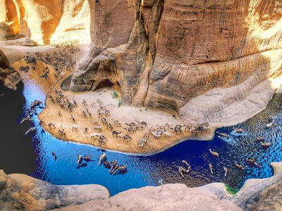 The Beauty: The most beautiful places of the Red Sea and Sinai Part (2)