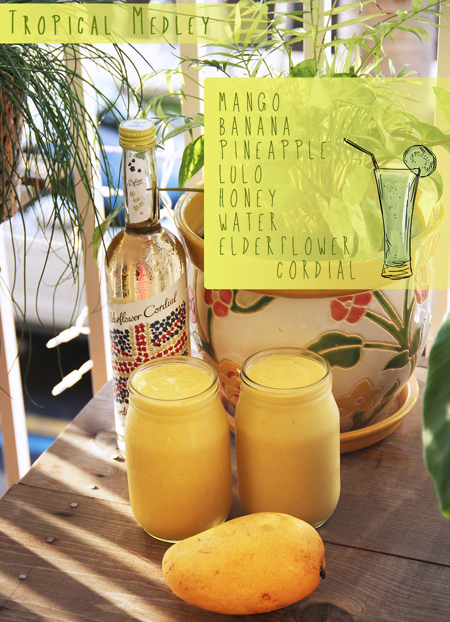 Superfood Smoothie #11 - Tropical Medley | Starfish