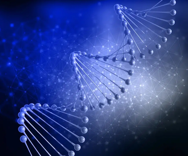 DNA Testing: Things You Need to Know - World Informs