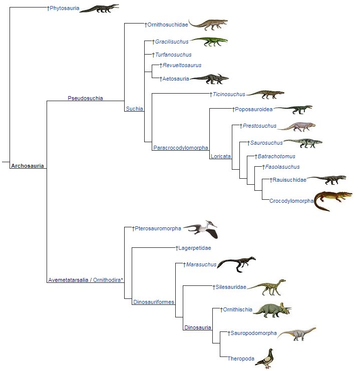The Pondering Gulch: Et Tunc Nulla Erat VII