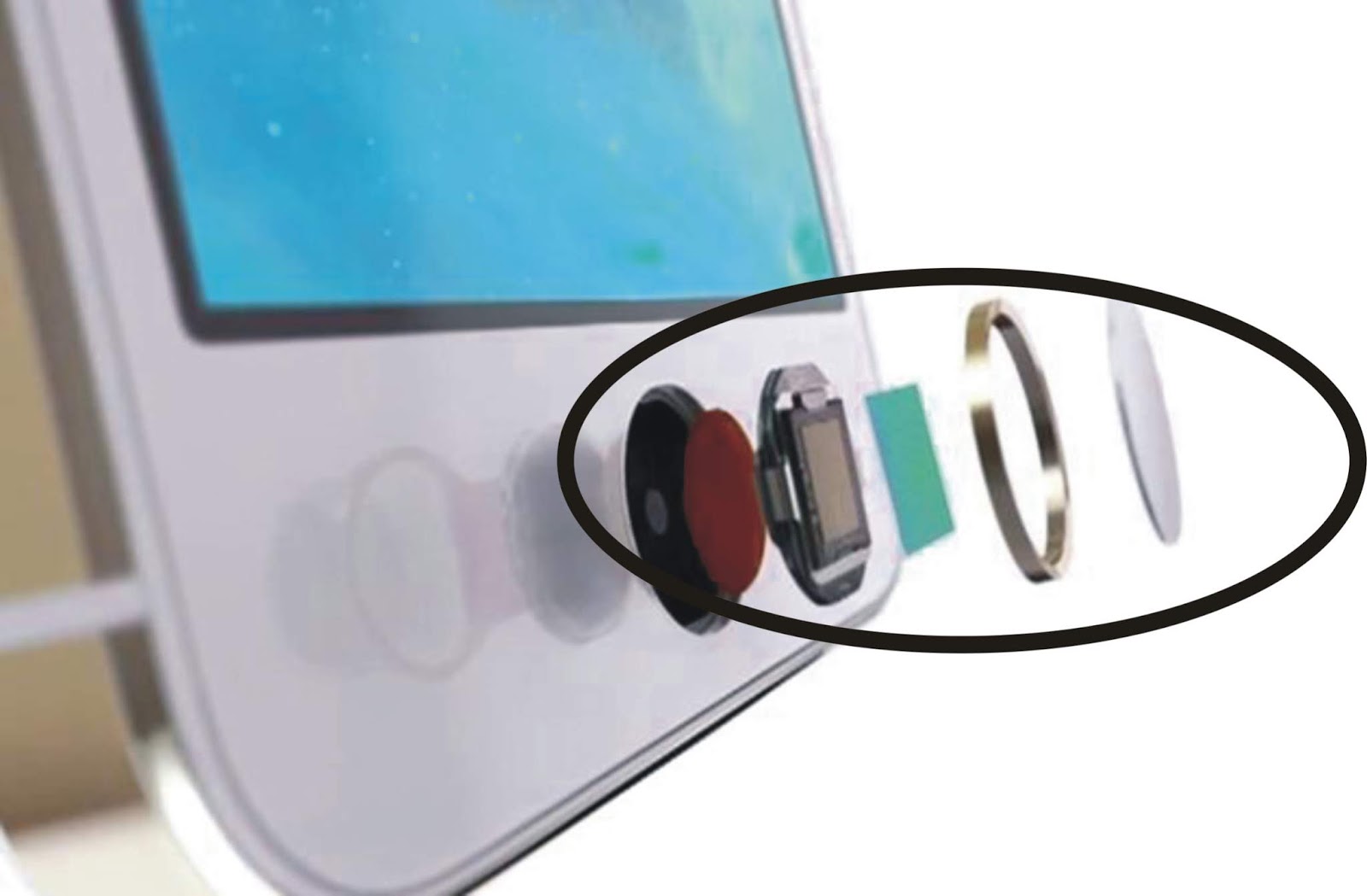 Types of Fingerprint Sensor of Smartphone