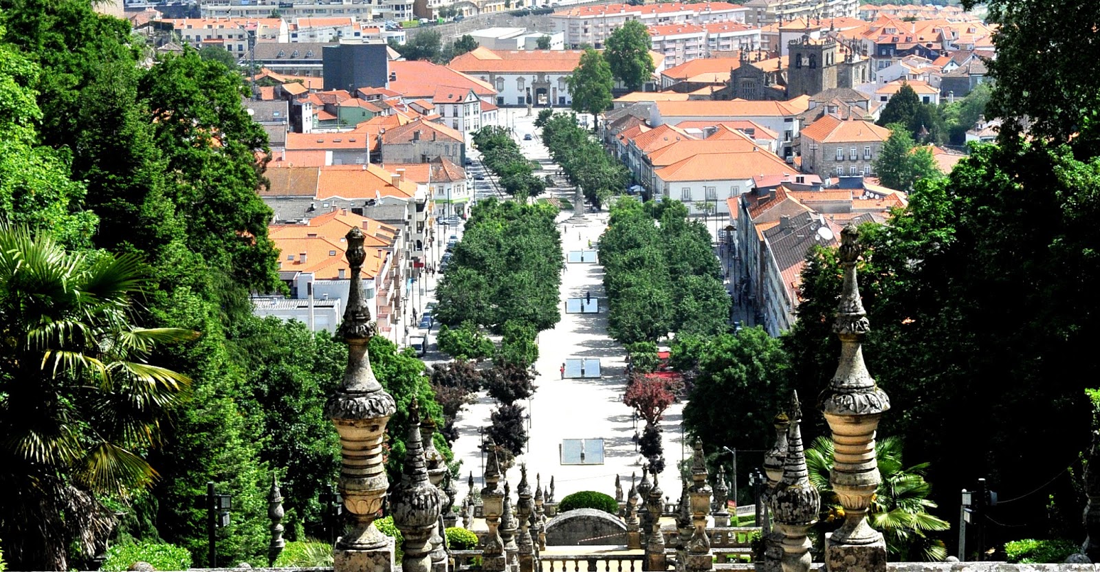 Notícias de Resende: Lamego: Câmara de Lamego angariou mais de 37 ...