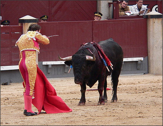 25 Hal Menarik tentang Matador, dari Spanyol Hingga Meksiko | Berkuliah.com