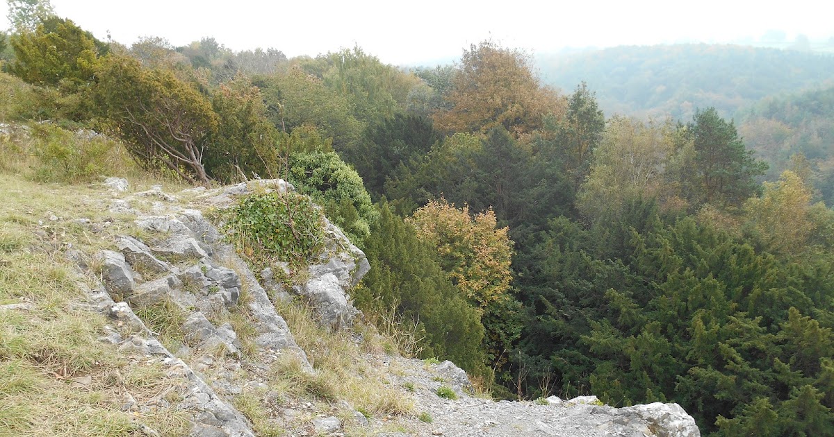 Off the Beaten Track in Somerset: Goblin Combe