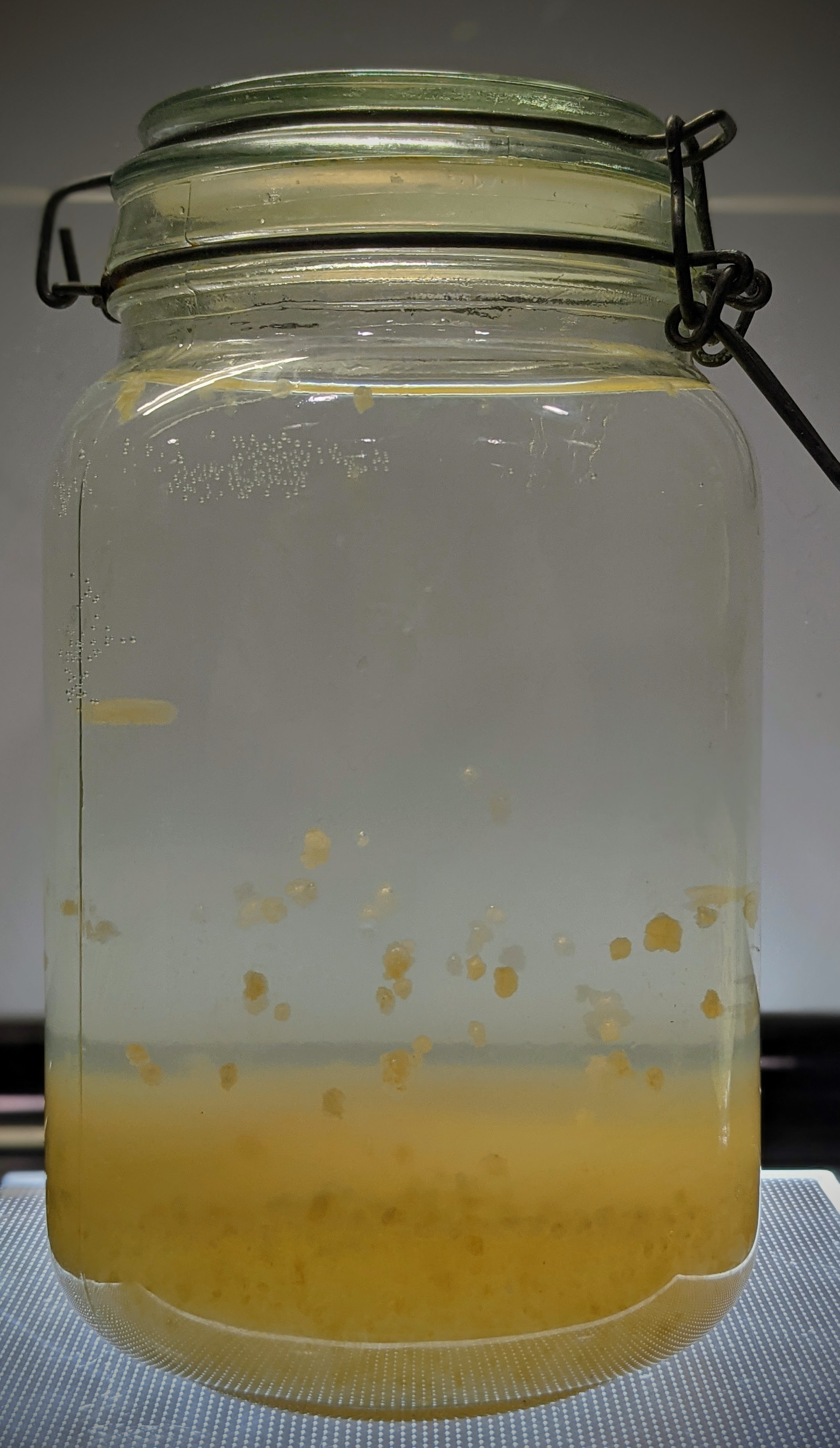 Aguja y Cuchara: Pan leudado con kefir de agua