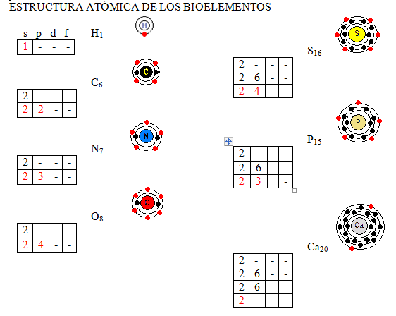 CURIOSIDADES CIENTÍFICAS : Bioelementos