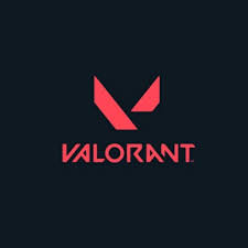 VALORANT POINTS GENERATOR