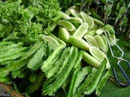 Anim Agro Technology: ULAM - APA DIA ULAM?