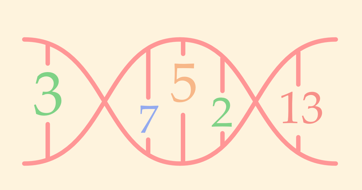 From Primes To Riemann: Primes Are The Building Blocks Of Numbers