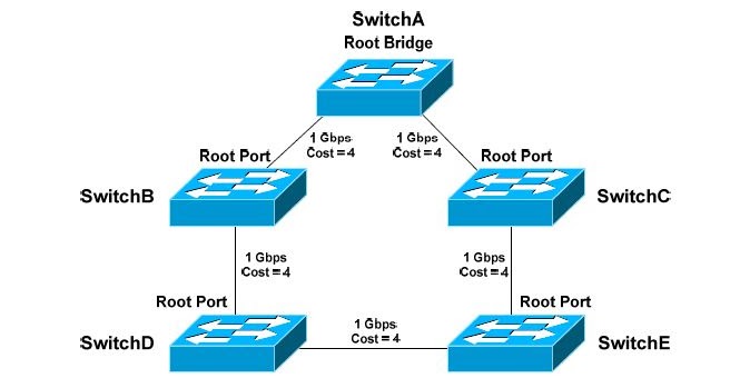 Identifying Root Ports in Spanning Tree Protocols - IT World