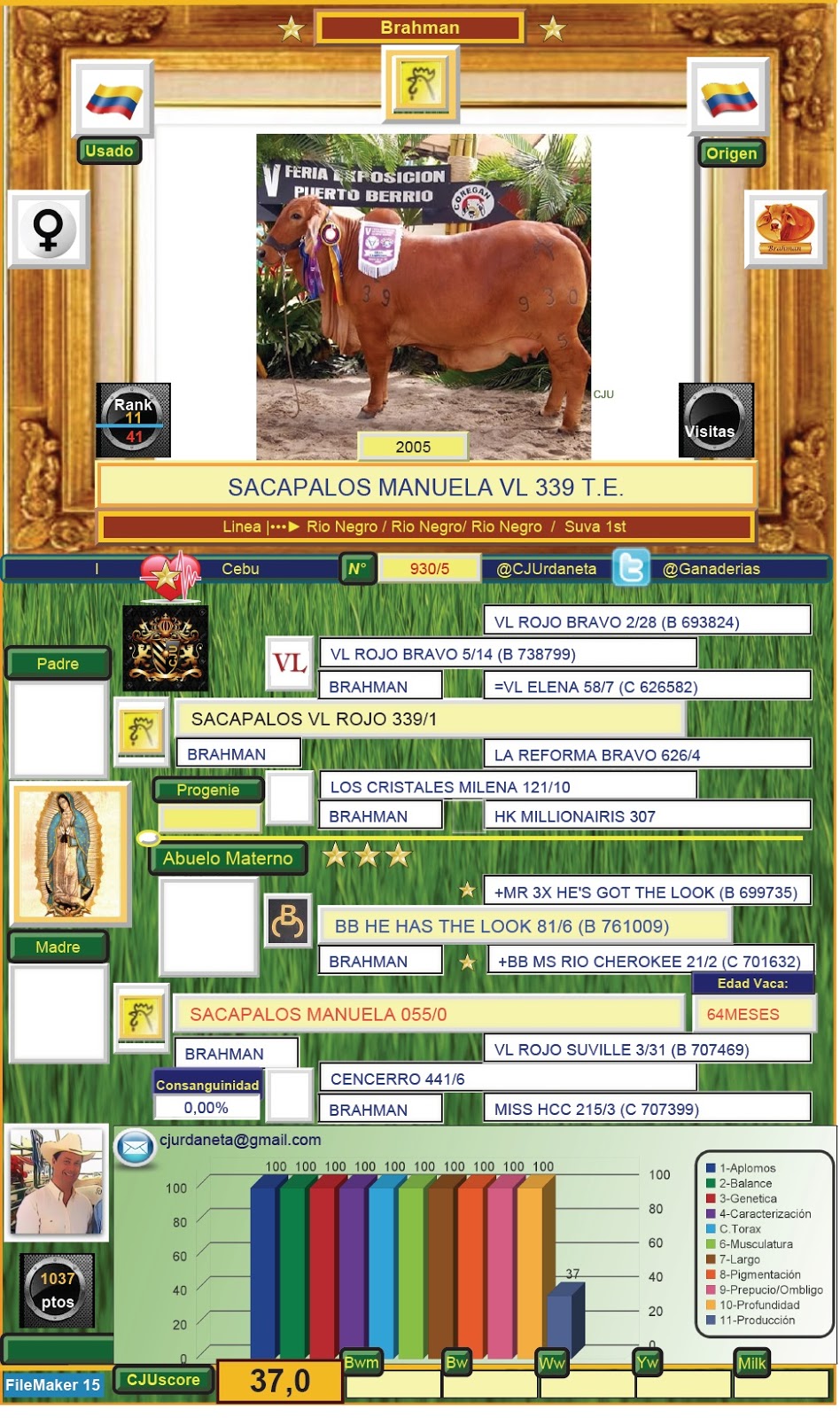 CEBÚ ♥ ♥ ♥ ZEBÚ♔♕♖♗♘ LA PASIÓN POR EL #CEBÚ #ZEBU: SACAPALOS MANUELA VL ...