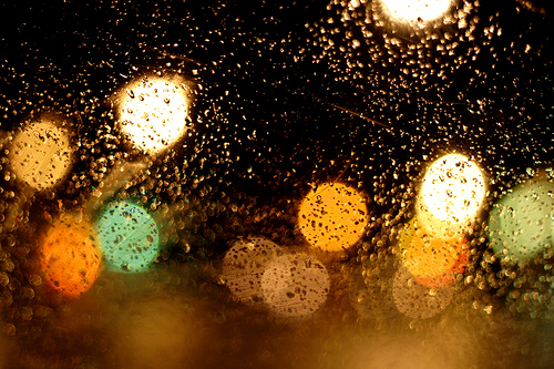 Autumn Lights Picture