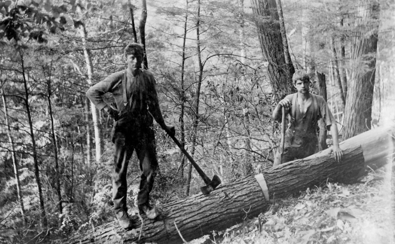 Valley Girl Views: Woodhicks & Life In Lumbering Camps