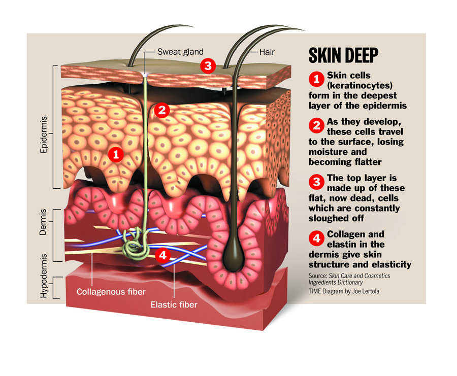 VIVA JOY HEALTH: Face saving (I)
