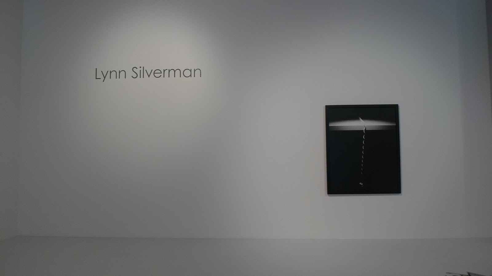 Photos from Paul Emmanuel: Transitions Multiples and Lynn Silverman at ...