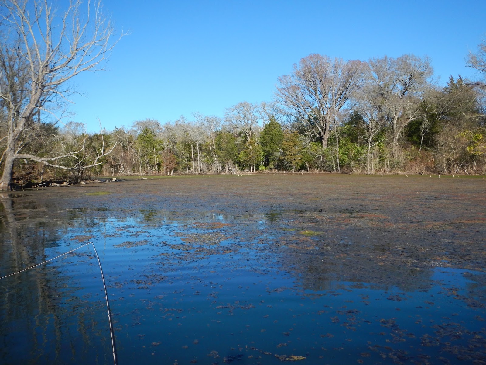 FishOn! the Fly: Lake Springfield 2016