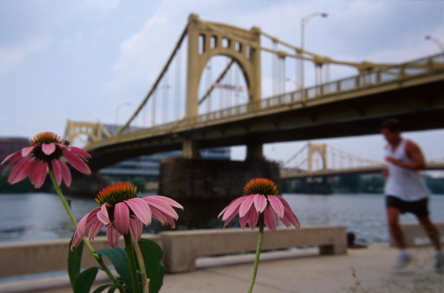 English As 2nd Language Free English Classes In Pittsburgh Pa english-as-2nd-language-free-english-classes-in-pittsburgh-pa