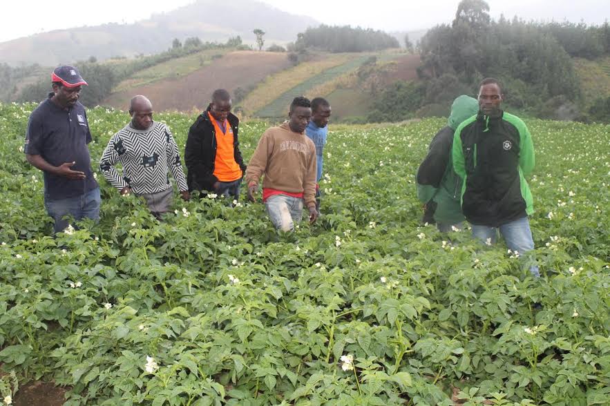 Yara yazindua maghala ya mbolea Rwanda, wakulima mbeya wafurahia ubora ...