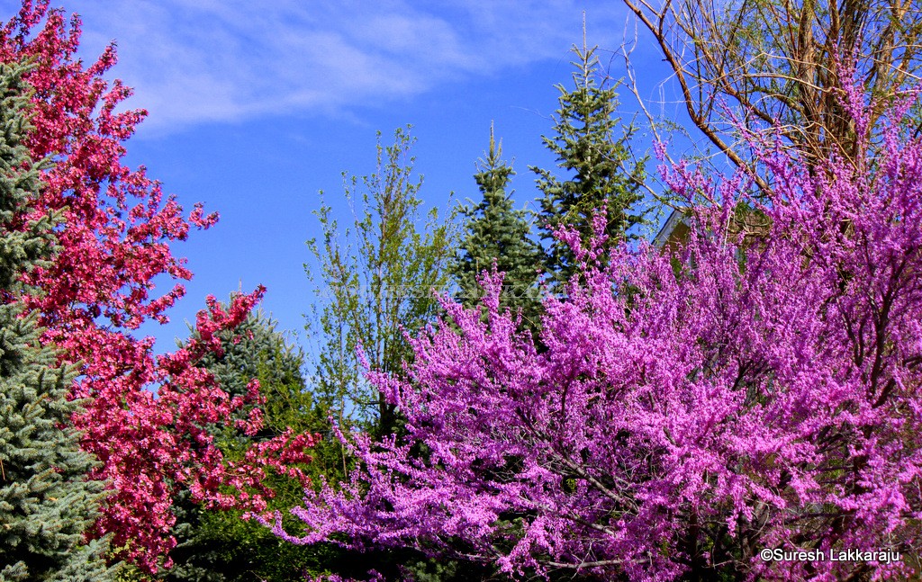 Reflections...: Spring Colors