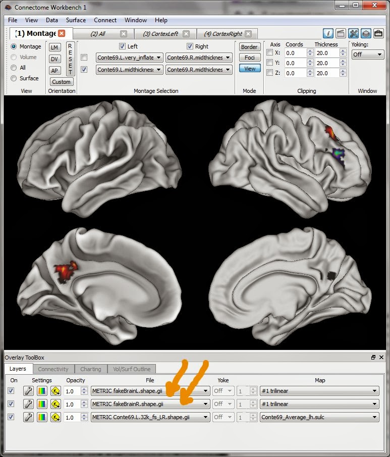 MVPA Meanderings: connectome workbench: plot a NIfTI image