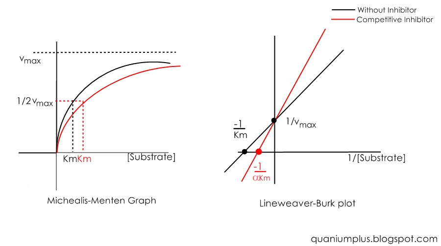 Blog of Science: February 2013