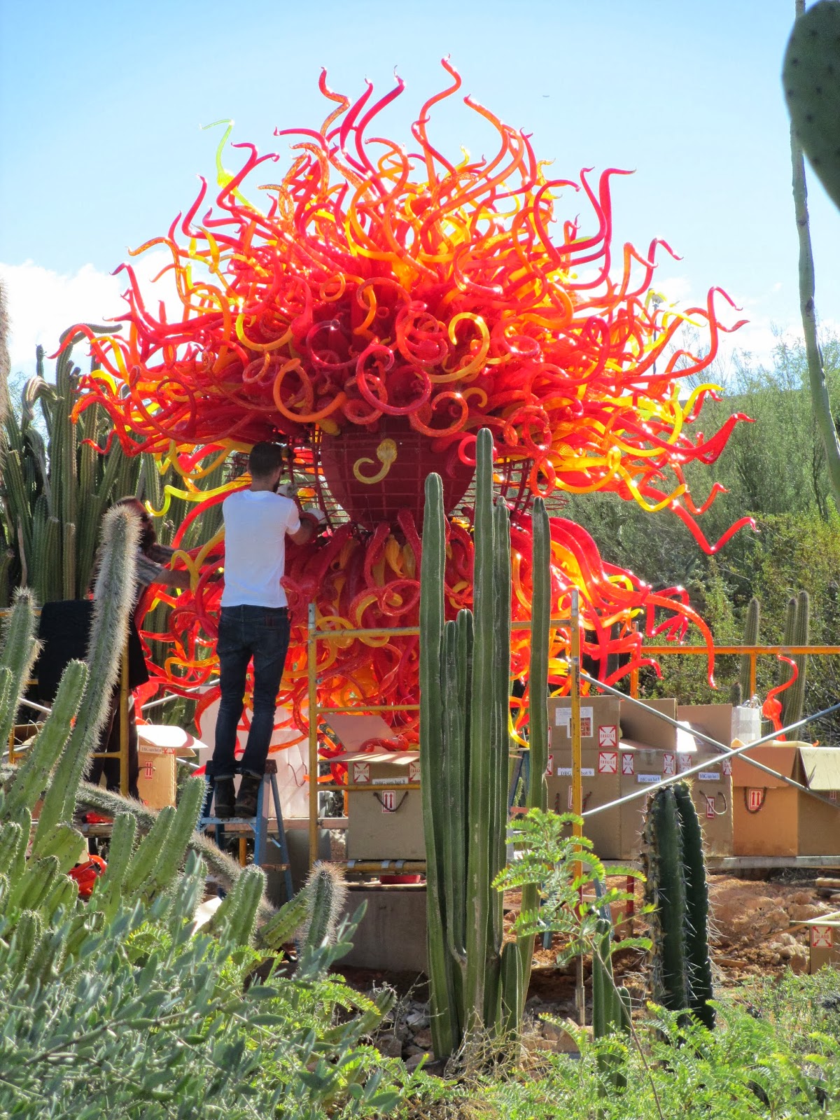 Yuccabloom: A Memoir of Meaningful Meanderings: Sneak Peek at Chihuly ...