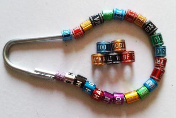 Wajib Tahu, Inilah Ukuran Ring Burung Kesayangan Anda - Gaco Gacor