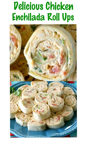 Delicious Chicken Enchìlàdà Roll Ups - BEAN GIRRAS