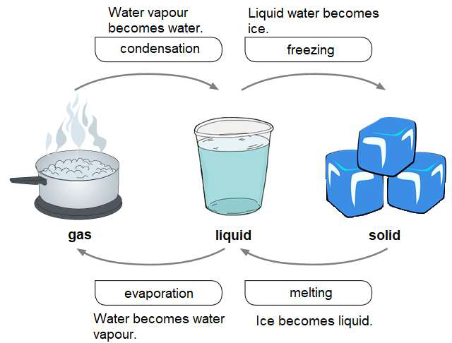Natural Science 3rd Course