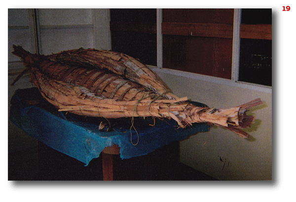 Rex Greeno: CONFERENCE PAPER: Nawi – Exploring Australia’s Indigenous ...