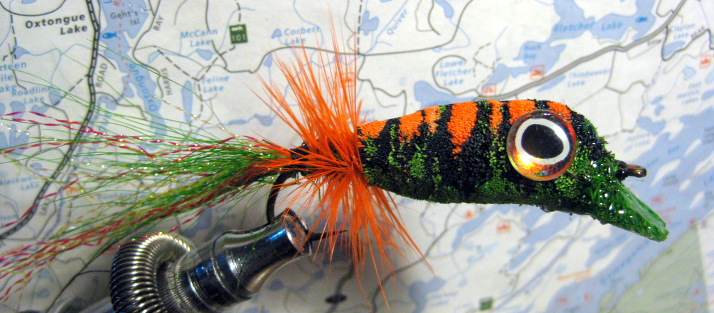 Dead Fisher: The Simcoe Bug