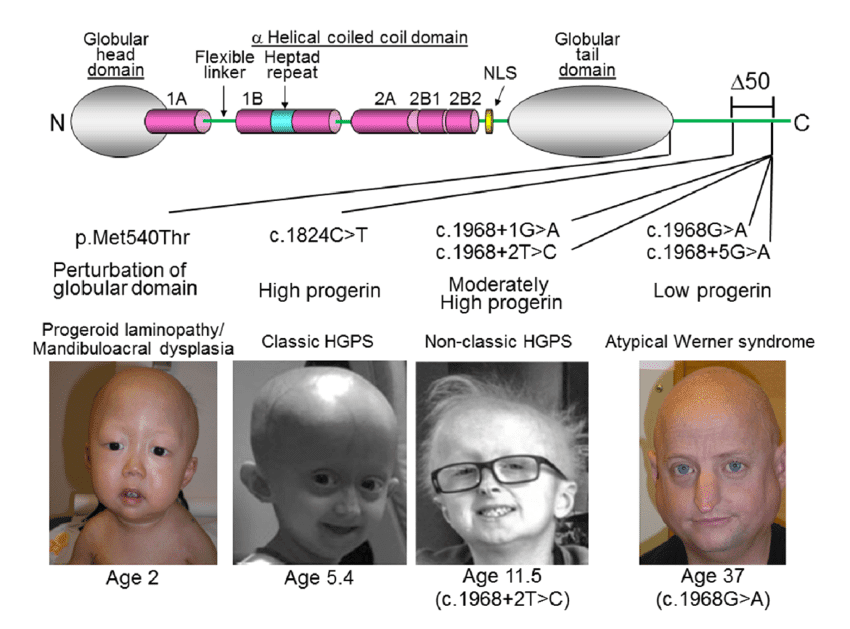 LA BIOLOGÍA EN EL CINE Y LAS ARTES: EL CURIOSO CASO DE BENJAMIN BUTTON ...