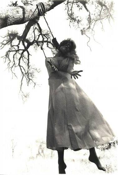 Shadows on the Wall: An Online Dark Shadows Fanzine: Night of Dark ...