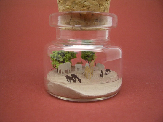 Mini-Worlds In Jars | Pictures