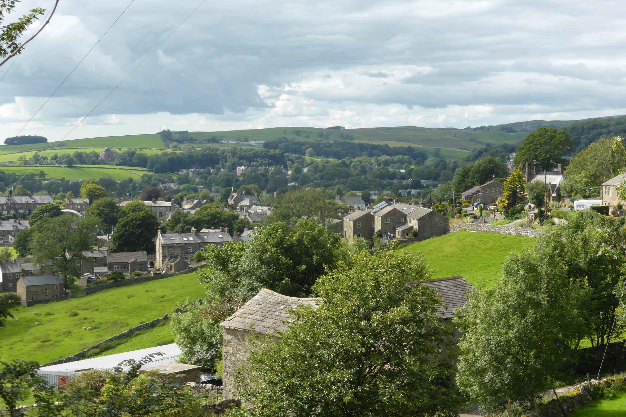 The Rainforest Fund Project: Settle Wildflowers - Day 73 - Green 6 ...