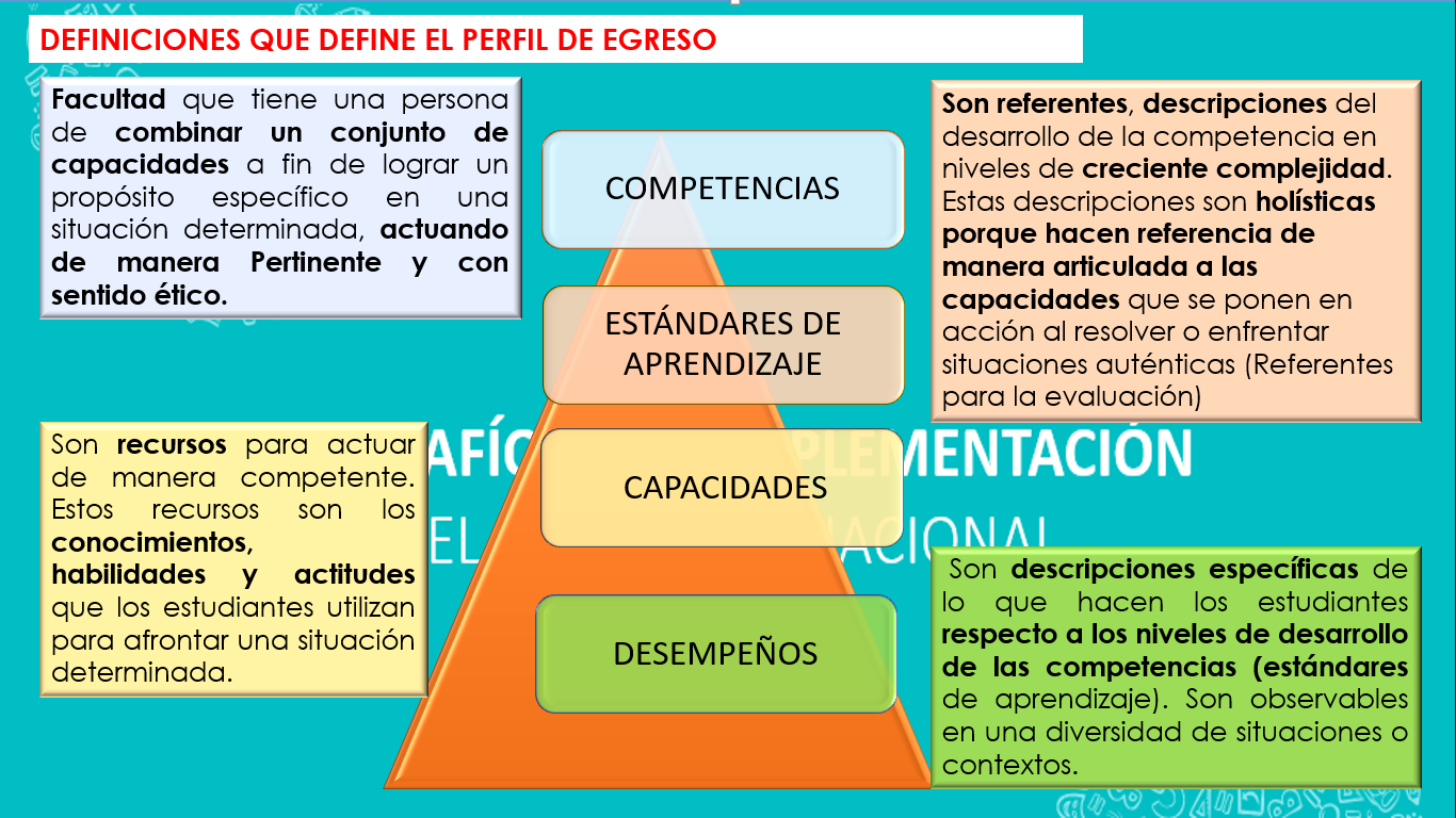 11124paz-Perfil Egresado