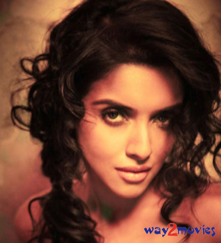Asin Latest Photo Shoot Gallery | Celebrities Photos Hub